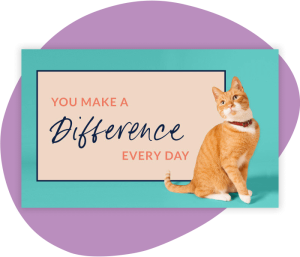 Digital Card Ideas To Engage Your Nonprofit's Supporters