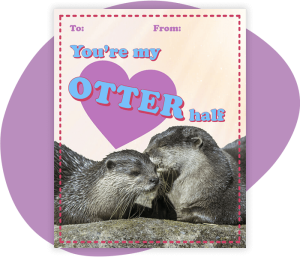 Digital Card Ideas To Engage Your Nonprofit's Supporters